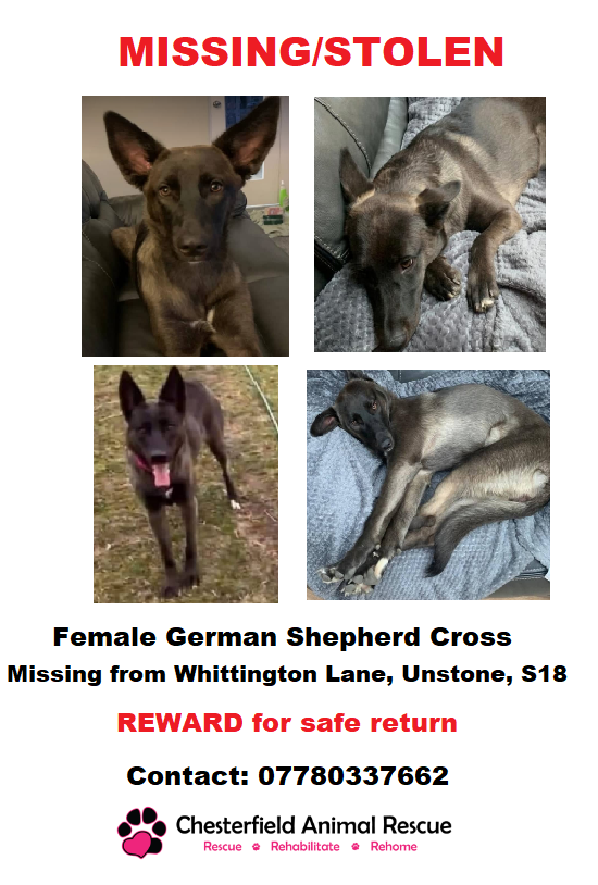 About Us :: Chesterfield Animal Rescue